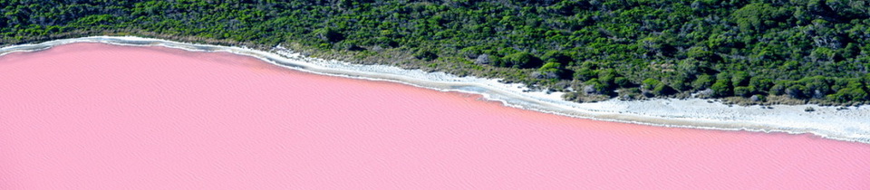 Lake Hillier | The Pink Lake Hillier of Australia